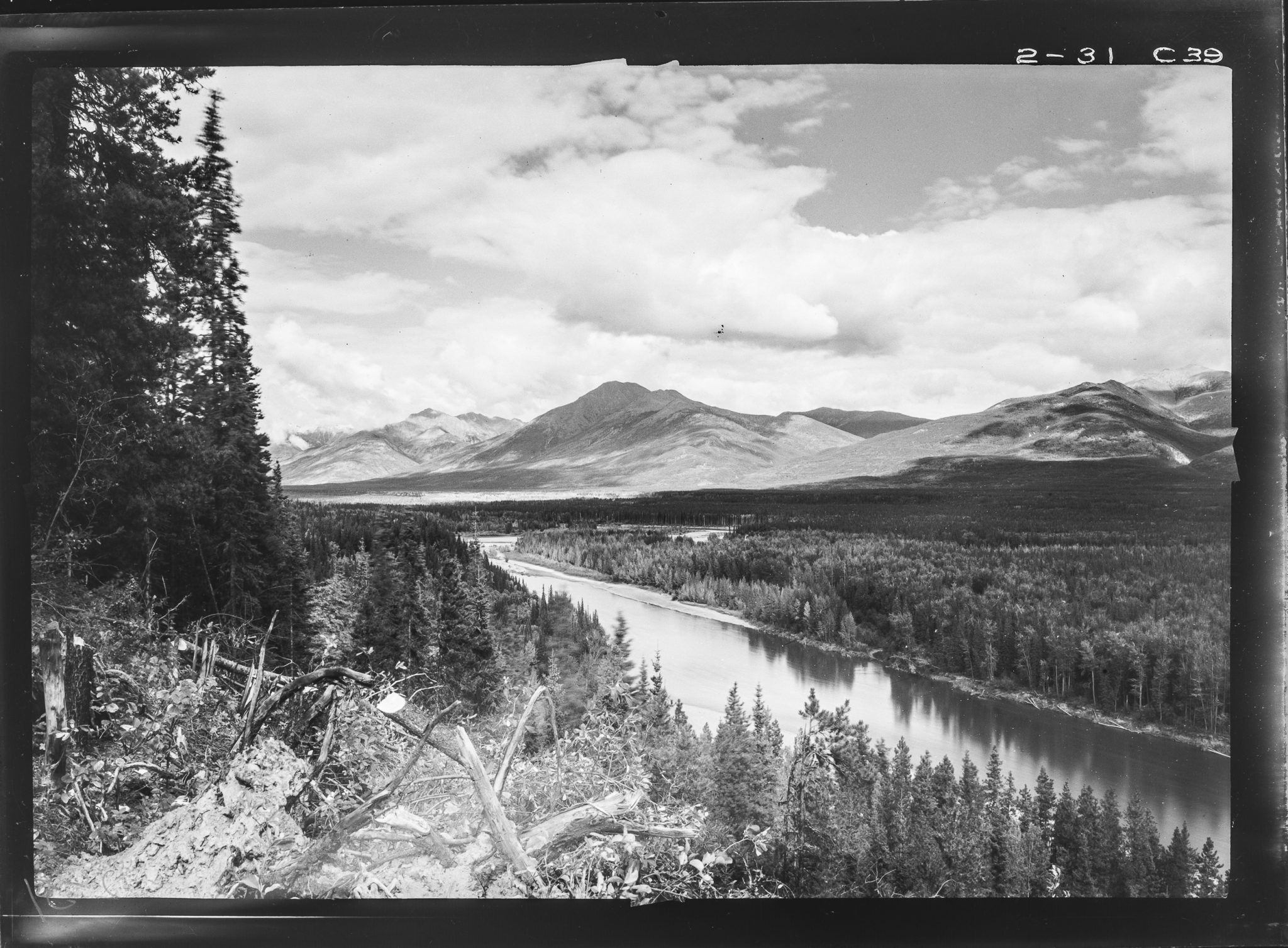 Muskwa-Kechika and the Finlay River: Looking back to look forward ...
