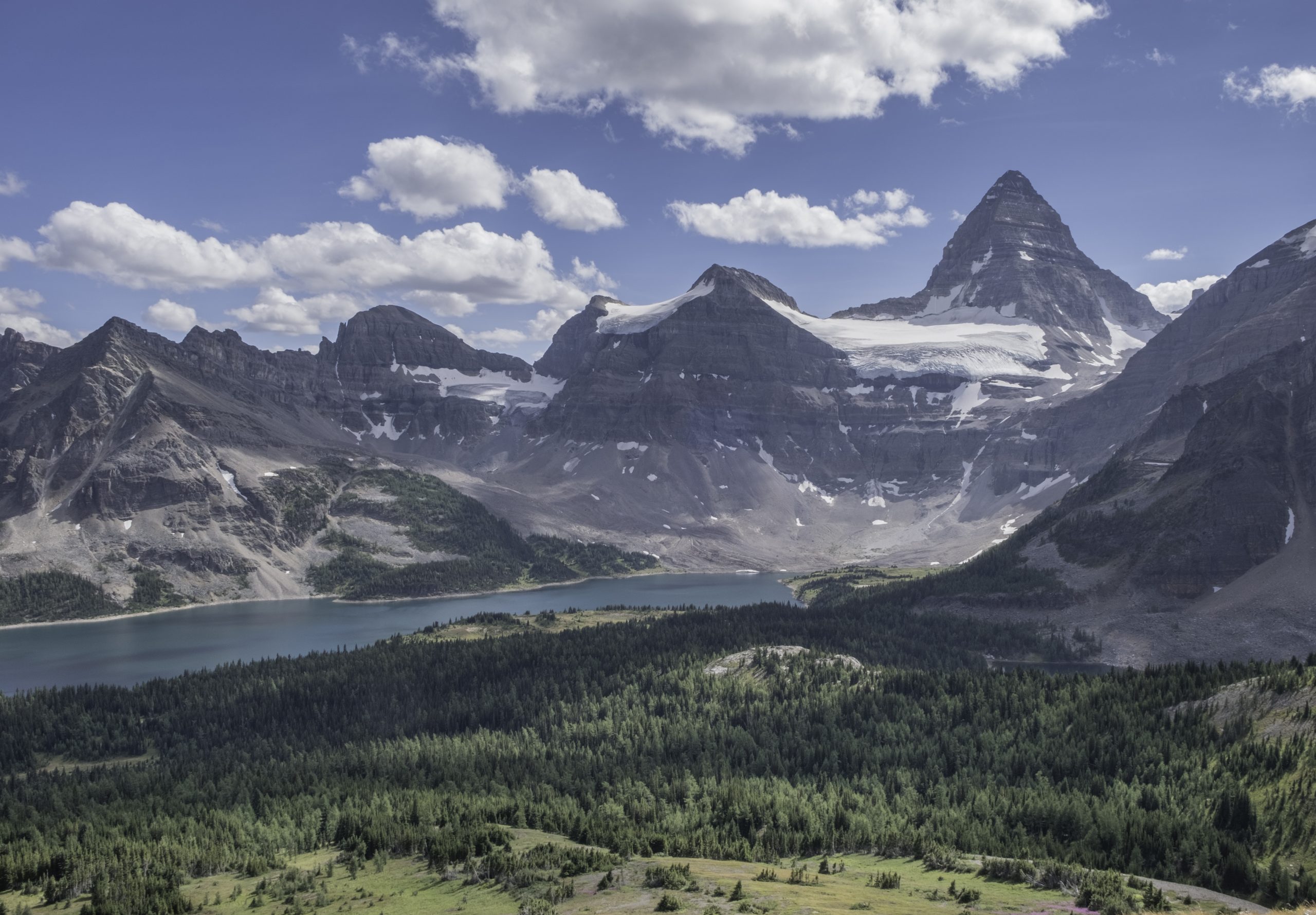 New Natures | Mountain Legacy Project