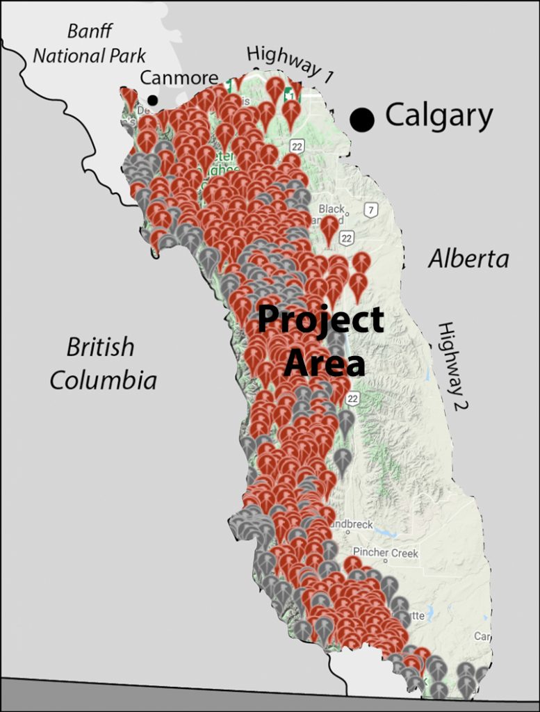Advances in Visual Applications: Visualizing & quantifying landscape change in SW Alberta using ...