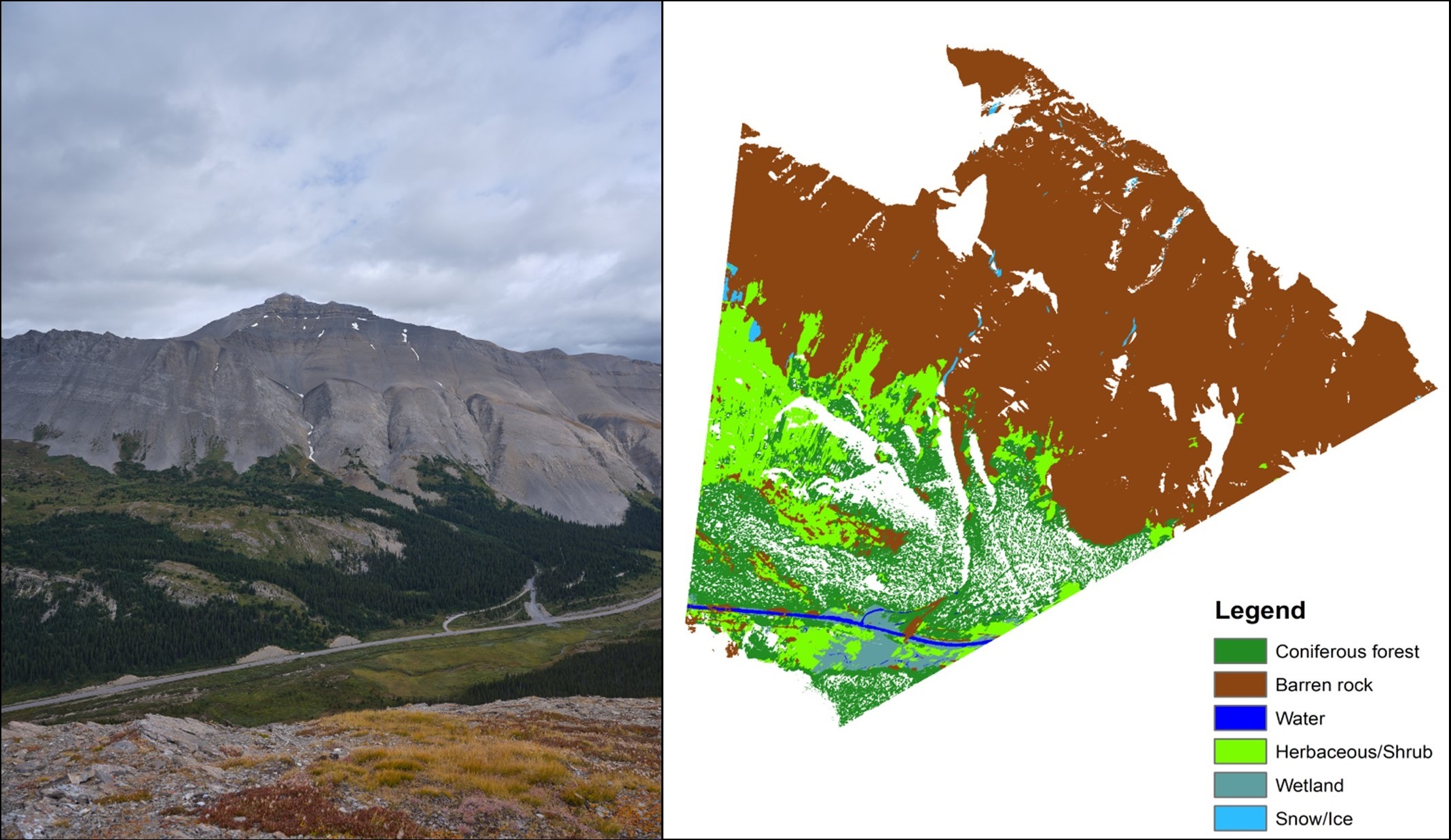 New Natures | Mountain Legacy Project