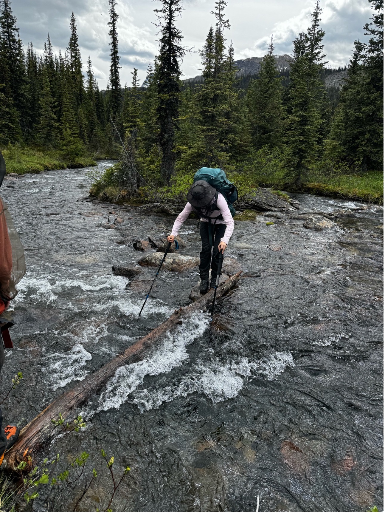 Blisters, Boulders, and Breathtaking Views: Darcy’s First Field Season | Mountain Legacy Project